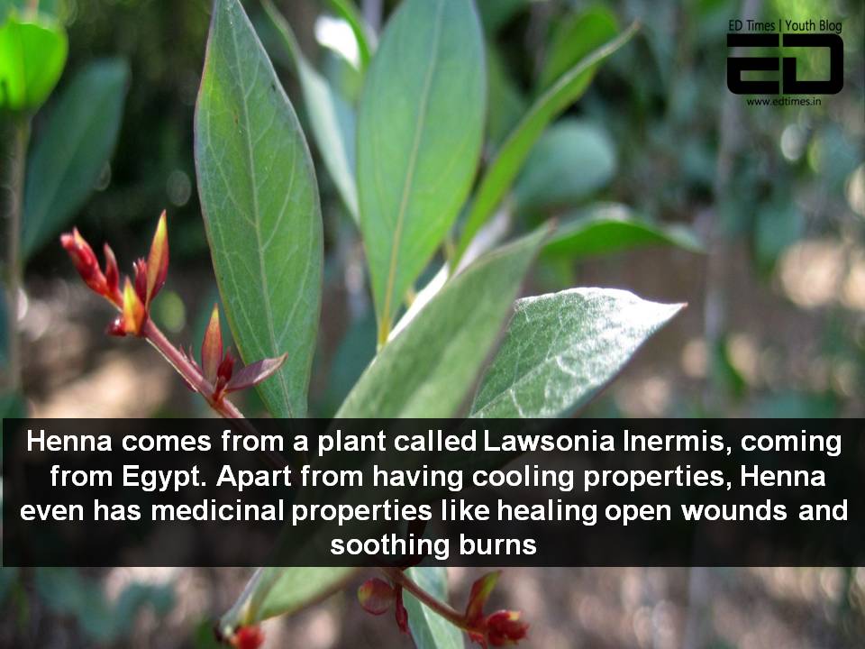 In Pics: Tracing The History Of Henna: From The Mummies Of Egypt To ...